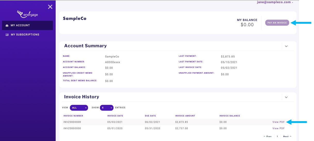 How do I view my subscription details?