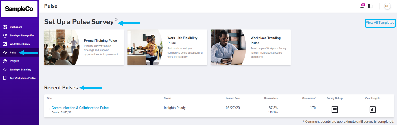 Pulse Survey Overview