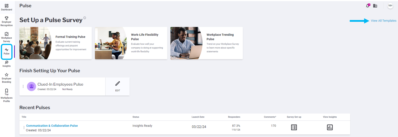 Pulse Survey Overview