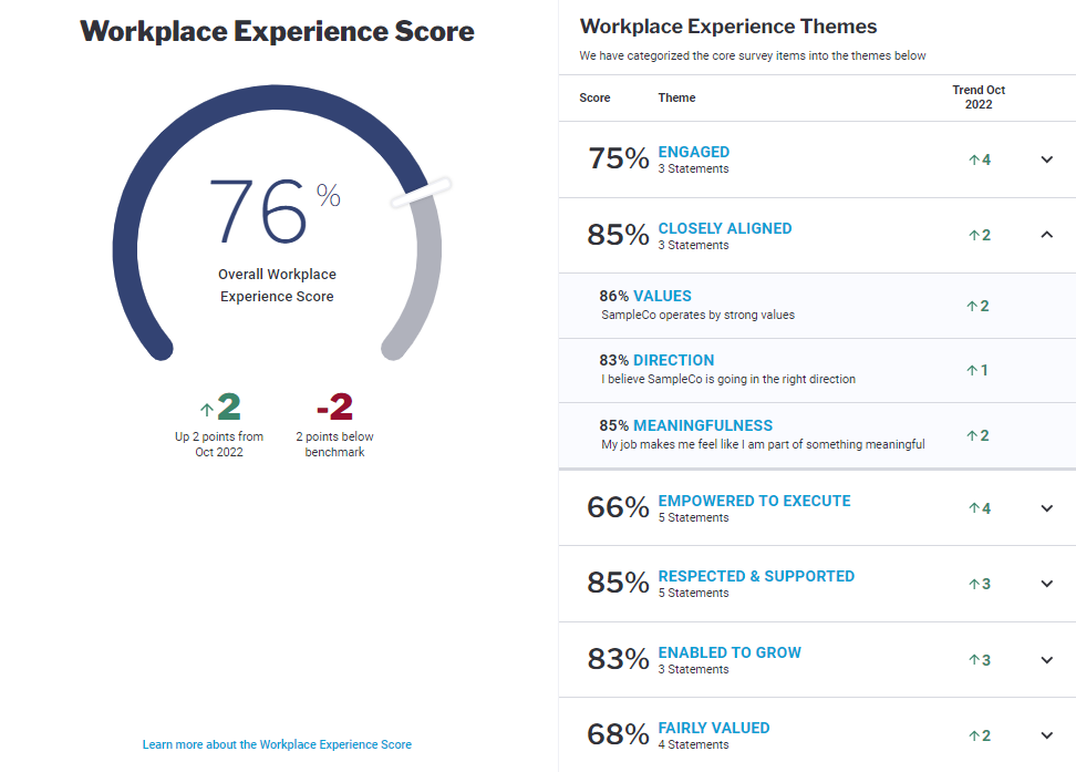 Energage Workplace Experience Score and Themes