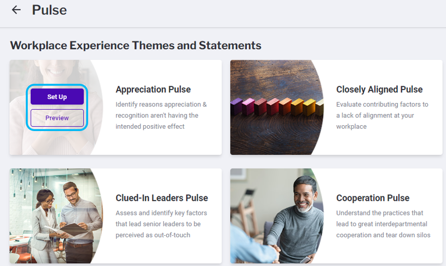 A Guide to Setting Up a Pulse Survey