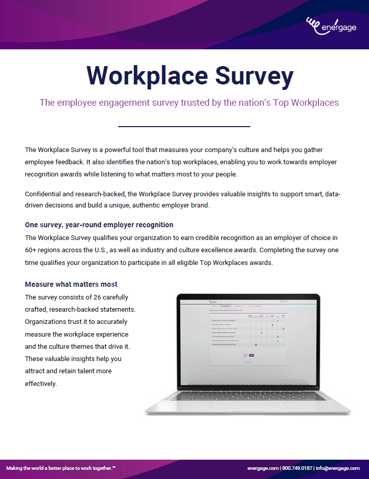 The Workplace Survey Statements