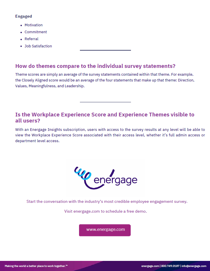 Workplace Experience Score and Themes FAQ